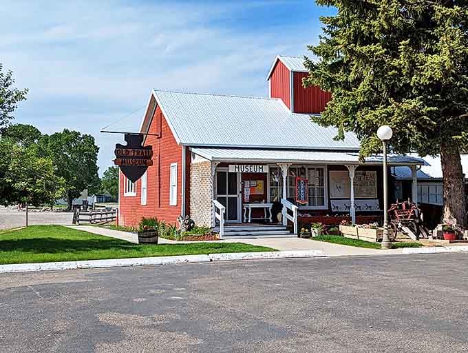 The Old Trail Museum's rustic red exterior houses prehistoric treasures that make Jurassic Park seem like yesterday's news.
