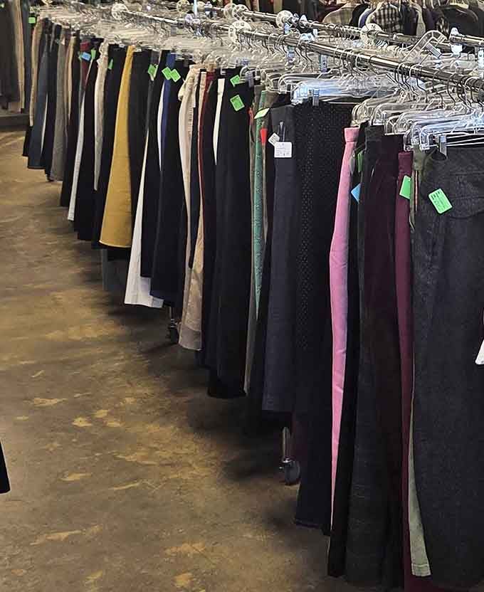A rainbow of possibilities hangs neatly in a row. These pants are just waiting for their "before" moment in a fashion makeover story.
