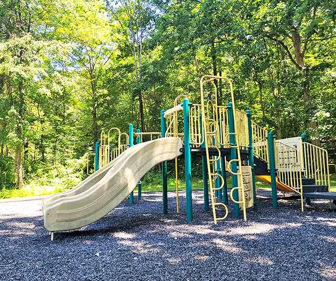 The playground at Stephens State Park: where kids burn off energy while parents silently thank the genius who put it far enough from the camping area.