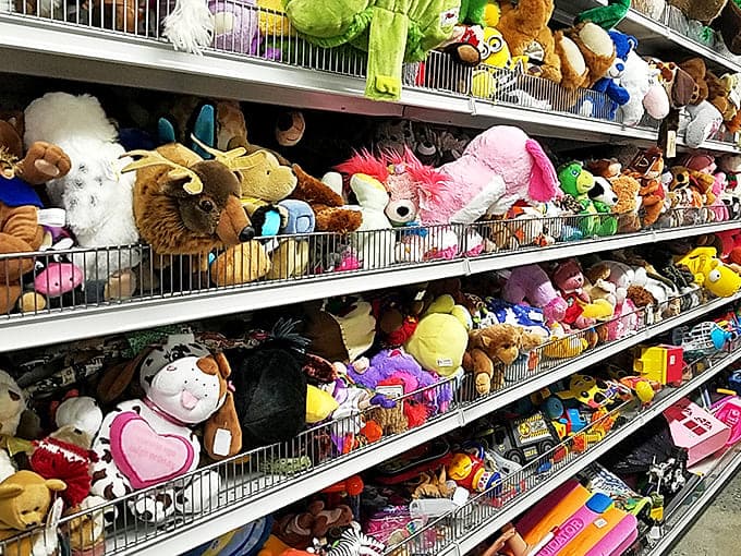 Stuffed animal adoption center! These plush companions have seen better days but are ready for new adventures with the next generation of Alaskan kids.