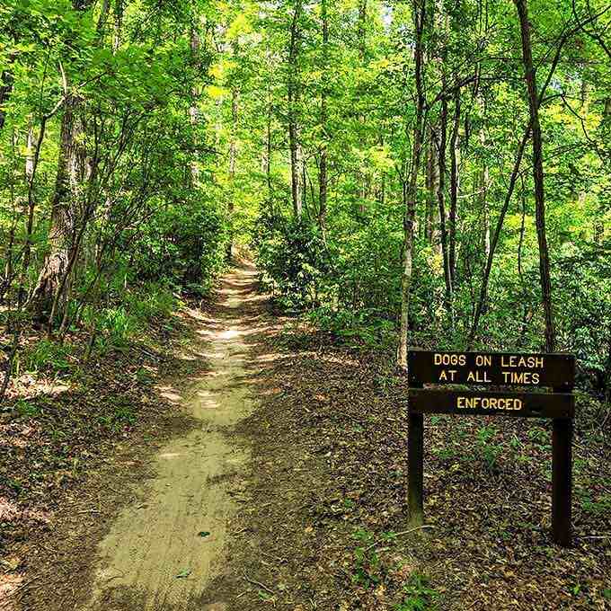 A trail that beckons with possibilities. The sign says "Dogs on Leash," but doesn't mention anything about unleashing your imagination.