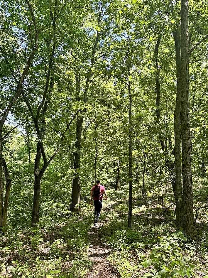 Forest bathing, Missouri-style. A hiker disappears into the dappled sunlight of ancient woods, where cell service fades but life's reception improves dramatically.