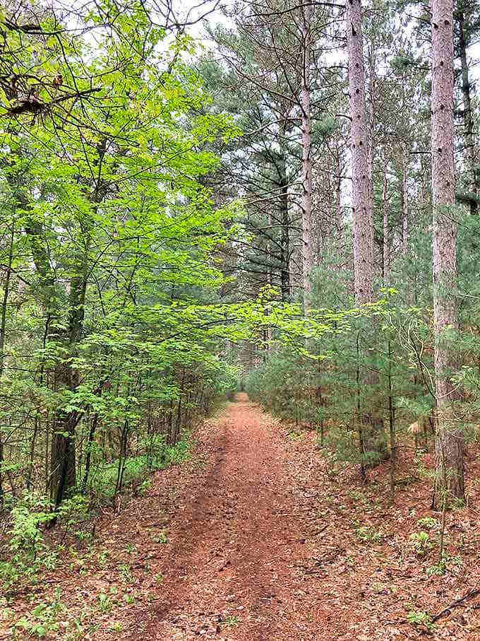 Follow the pine-needle brick road! This trail promises adventure without the flying monkeys or wicked witches.