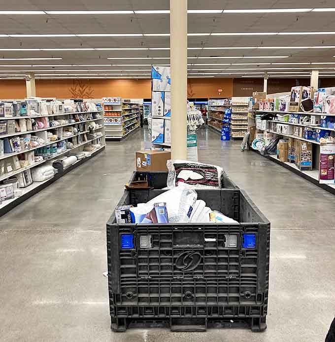 Wide aisles and well-stocked shelves create a shopper's paradise where treasure hunting becomes an Olympic sport worthy of gold medal status.