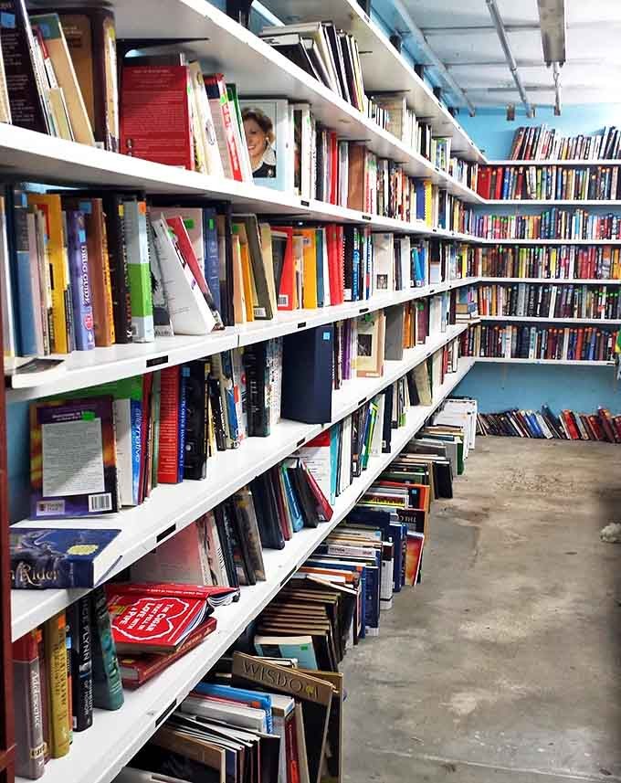 Bibliophile heaven where every shelf holds potential mind-expanding adventures, from forgotten classics to yesterday's bestsellers.