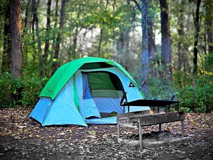 Camping simplified: a teal tent, a fire ring, and trees that don't care about your social media status or email notifications.