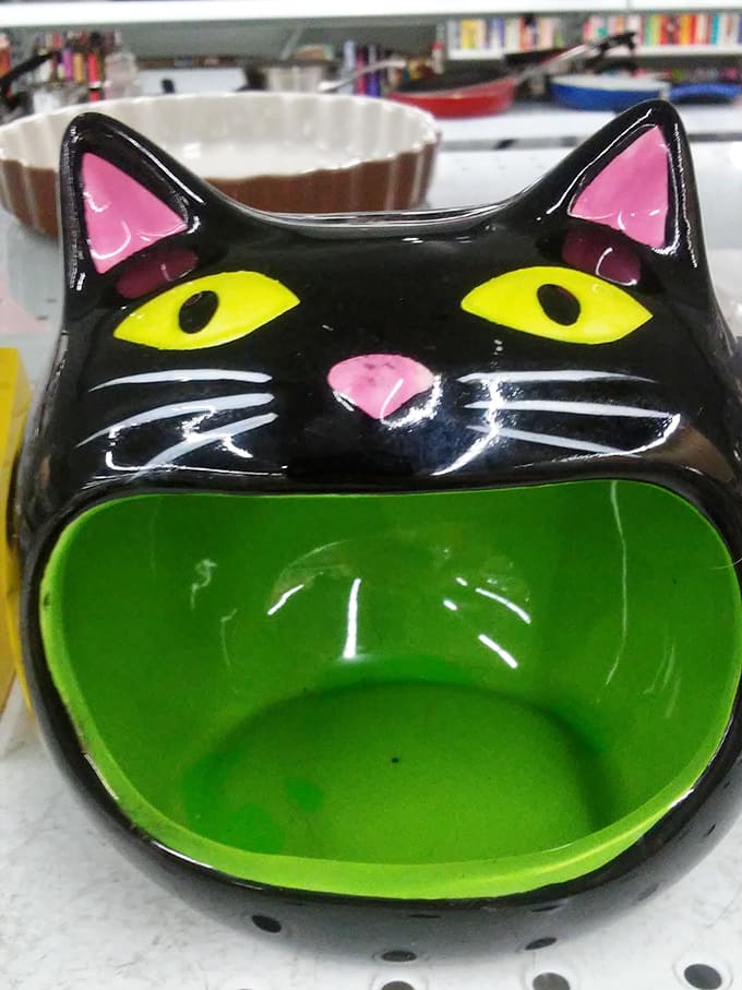 This ceramic cat bowl stares into your soul with judgment and whimsy. Perfect for the person who wants their home decor to have attitude.