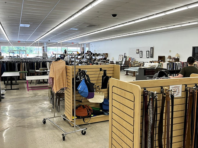 The store's thoughtful layout transforms what could be chaos into a shopper's paradise. Treasure hunting made surprisingly civilized!