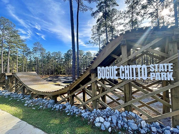 Adventure architects created this wooden rollercoaster for bikes, proving Louisiana isn't always as flat as your grandma's famous pancakes.