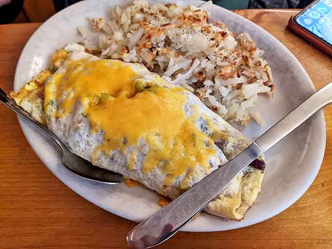 Cheese omelets should always be this good &ndash; fluffy, generously filled, and served with hash browns that achieve that magical crispy-outside, tender-inside balance.