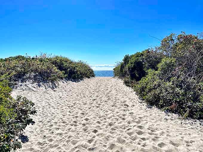 Nature carved this perfect pathway to the sea, as if saying "This way to your stress-free vacation, no GPS required."