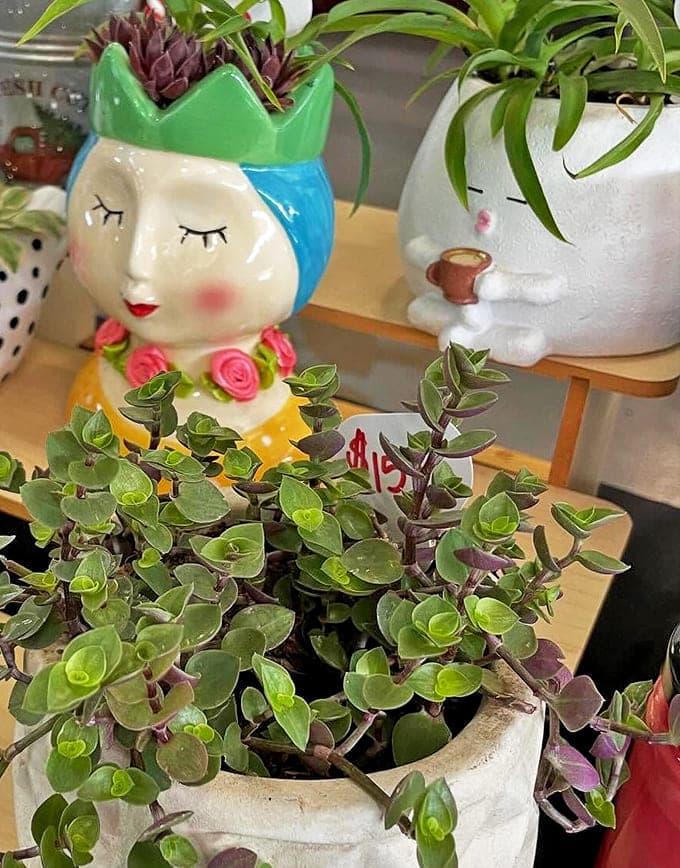 Whimsical planters that spark joy! This blue-haired ceramic lady doesn't just hold succulents&mdash;she's the conversation starter your bookshelf has been missing.