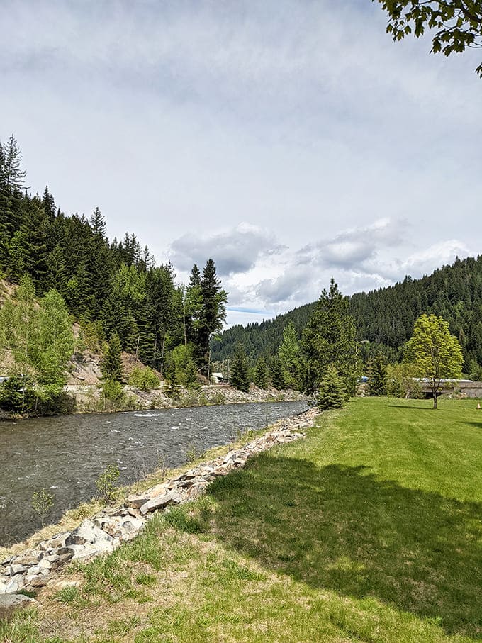 A river runs through it, indeed! This peaceful waterway once witnessed the frenzy of mining booms and now offers serene reflection beneath towering pines.
