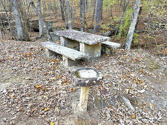 Stone picnic tables built by the CCC have hosted countless family meals and remain stubbornly immune to modern furniture trends.