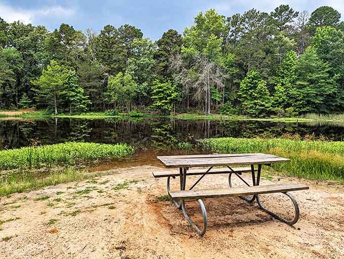 The five-star dining experience at Bob Sandlin&mdash;million-dollar views included, sandwich quality entirely up to your packing skills.