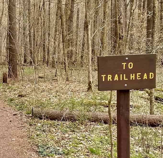 To Trailhead promises adventure ahead, like a dinner menu that simply reads "delicious food this way" and actually delivers.