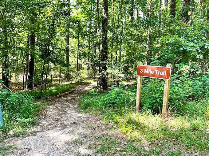 The 3-Mile Trail sign: nature's way of saying "this way to earned ice cream" after a refreshing walk through Georgia's finest woodland scenery.