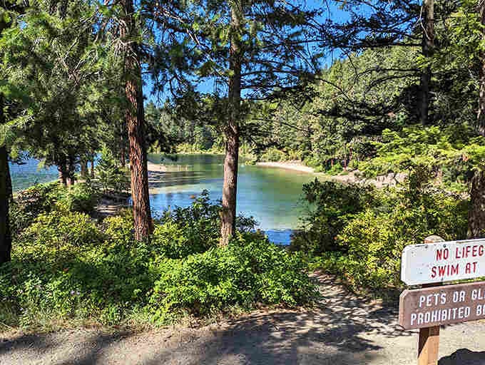 Nature's VIP entrance&mdash;this pine-flanked path leads to secluded swimming spots where you can escape the summer crowds.