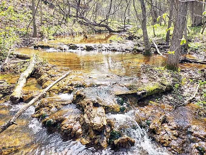 A gentle woodland stream creates its own music as it tumbles over moss-covered rocks&mdash;nature's version of a meditation app.