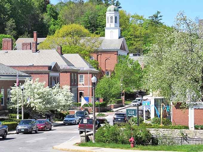 Peterborough's historic brick buildings stand like friendly sentinels. That white church steeple has witnessed more town gossip than a hairdresser on Saturday.