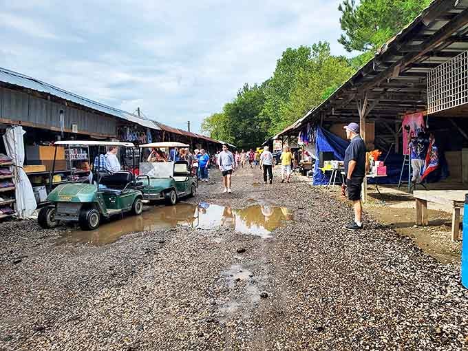 Ripley's First Monday Trade Day transforms an ordinary field into a bustling marketplace where traditions are passed down through generations.