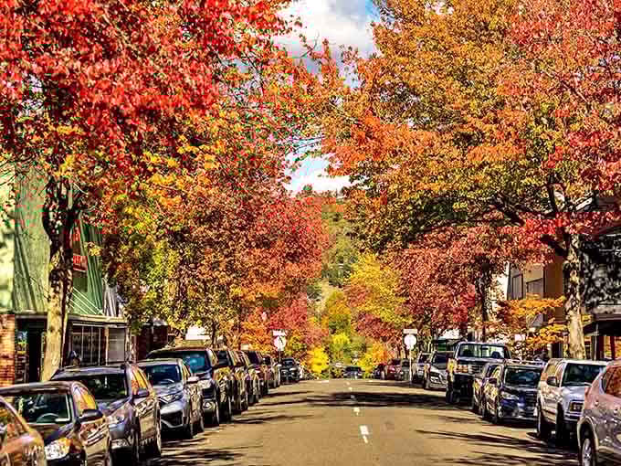 Roseburg's tree-lined streets offer shade in summer and spectacular color in fall, nature's own main street makeover.