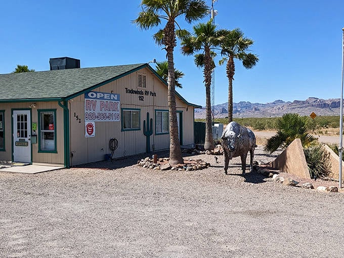 RV-friendly Golden Valley welcomes snowbirds with desert vistas and budget-friendly living near the Colorado River recreation areas.