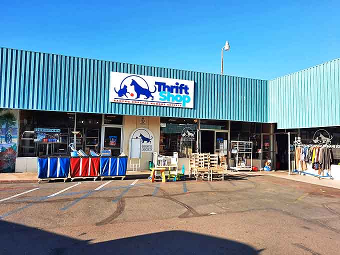 Shopping with a purpose! This vibrant blue building houses bargains that help furry friends find forever homes.