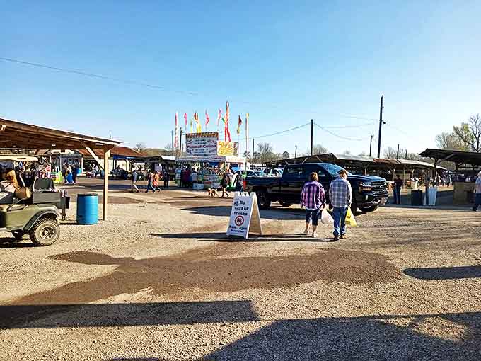 Wide open grounds with scattered vendor areas invite relaxed wandering and surprise discoveries along the way.