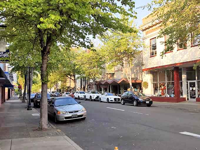 The morning light bathes Roseburg's downtown in a warm glow that makes even everyday errands feel special.