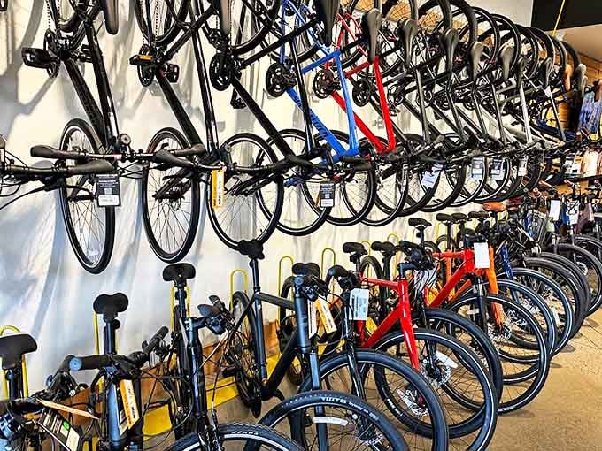 Bicycles lined up like soldiers ready for adventure. Your next great Pennsylvania trail ride is just a discount purchase away.