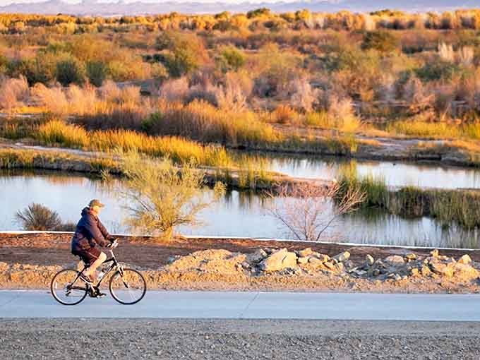 Morning bike rides along the river path offer the kind of peaceful start to your day that expensive meditation apps try desperately to simulate.
