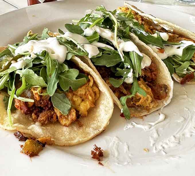 Breakfast tacos that blur the line between morning meal and midday fiesta, topped with fresh greens and a drizzle that ties it all together.