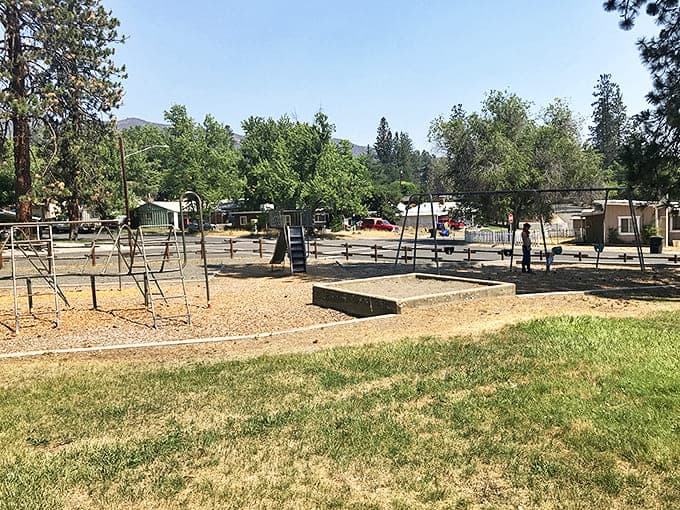 Simple pleasures reign supreme at Yreka's community playground, where laughter echoes against mountain backdrops instead of smartphone notifications.