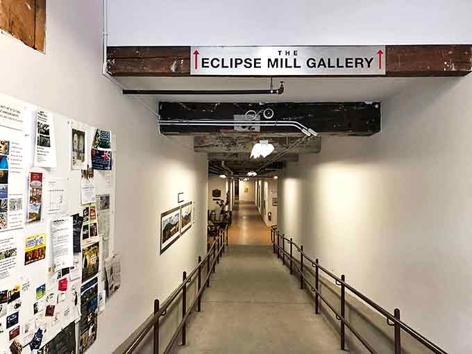 Eclipse Mill Gallery transforms industrial corridors into showcases for local talent. Yesterday's textile factory, today's artistic incubator.