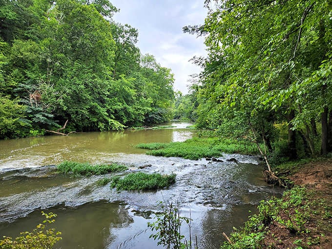 South Chickamauga Creek winds through Ringgold's natural landscape, offering peaceful kayaking adventures where the only rush is the gentle current beneath your paddle.