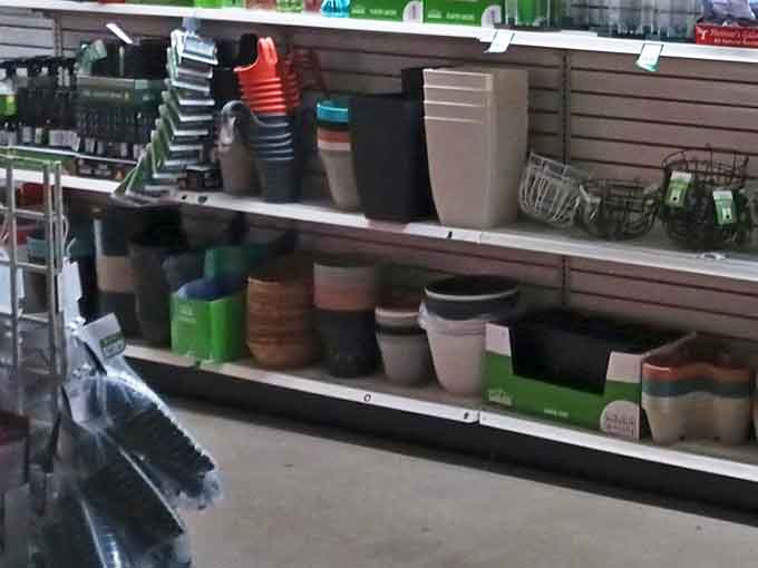 Garden pots galore! Transform your patio into a botanical paradise without digging deep into your retirement fund.