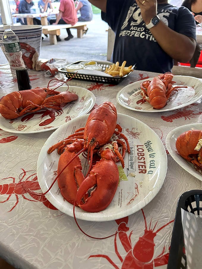 The main event! These crimson beauties on classic paper plates are what Maine dreams are made of.