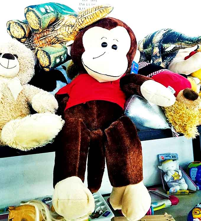 The island of misfit toys where Curious George is making new friends. Someone's childhood companion waiting patiently for their next adventure.