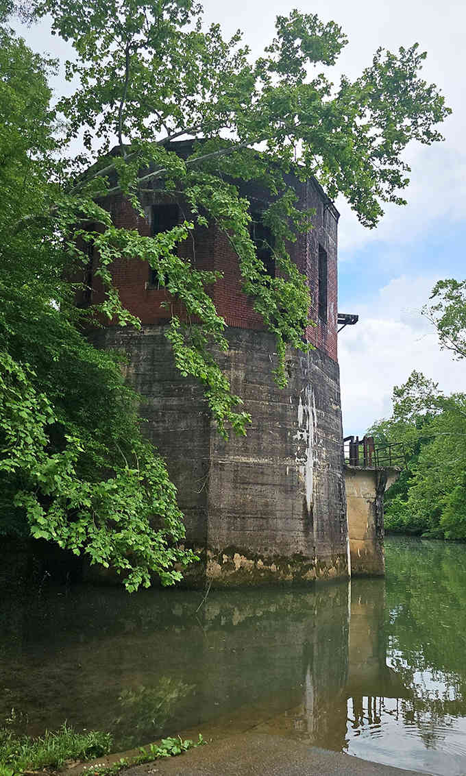 Nature slowly reclaims this mysterious riverside structure, creating an unexpected blend of industrial history and wild beauty along Sheffield's waterways.