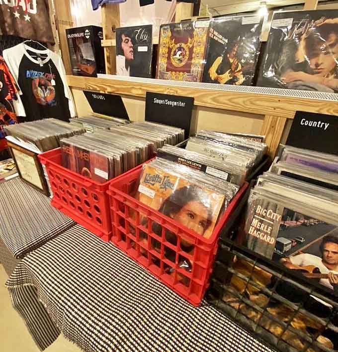 Vinyl paradise for analog souls—each record sleeve a miniature art gallery, each groove holding sounds that digital just can't capture.