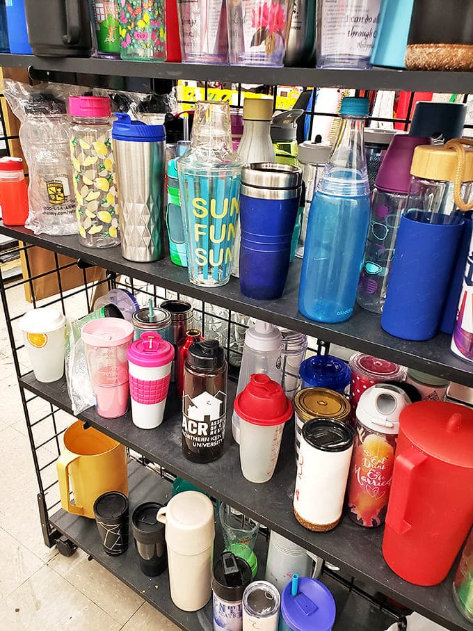 The water bottle collection rivals any office break room. "Sun Fun Sun" might become your new mantra during Kentucky's humid summers.