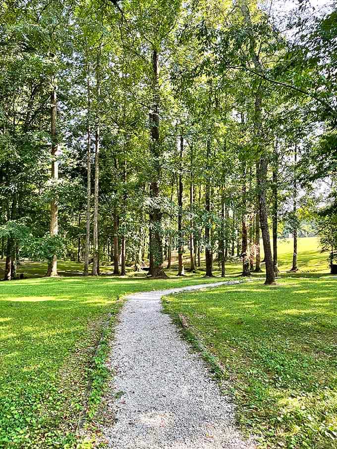 A simple gravel path winds through sun-dappled trees, inviting visitors to slow down and remember that the best journeys aren't always paved.