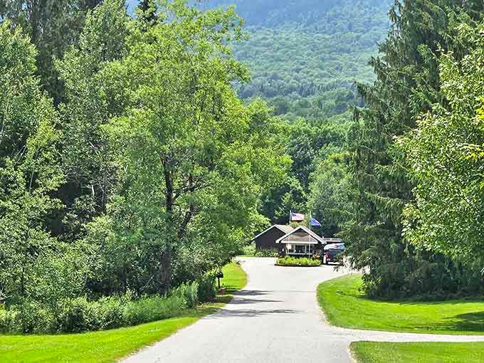 The park entrance road winds through greenery so lush it makes emeralds look pale by comparison.