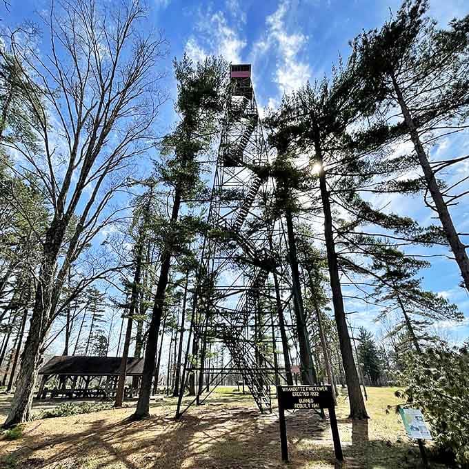 Climb this fire tower for views that'll make your Instagram followers think you've discovered a secret dimension of Indiana beauty.