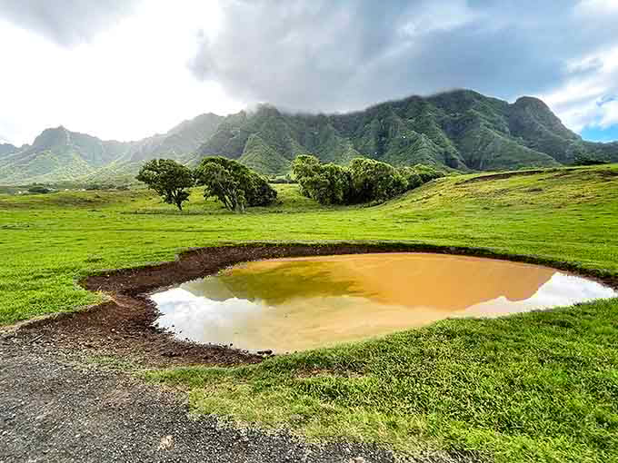 Nature's perfect reflecting pool. The mountains seem to admire themselves in this serene puddle, proving even Hawaii's muddy spots have picture-perfect potential.