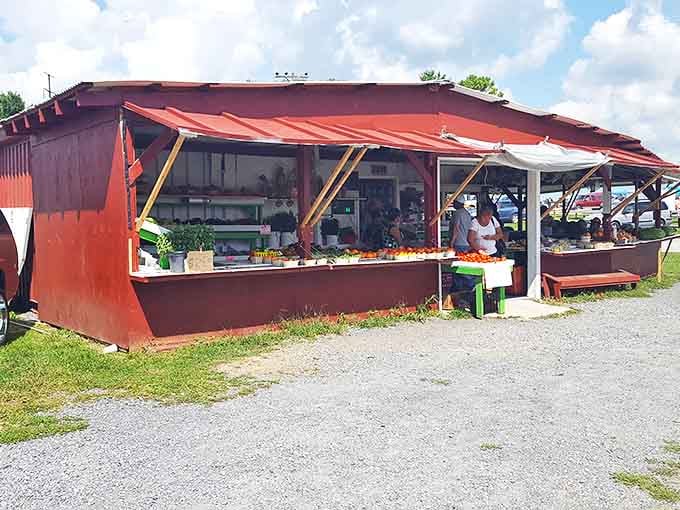 Farm-fresh goodness without the farmer's tan. This humble produce stand offers nature's candy without the supermarket markup.