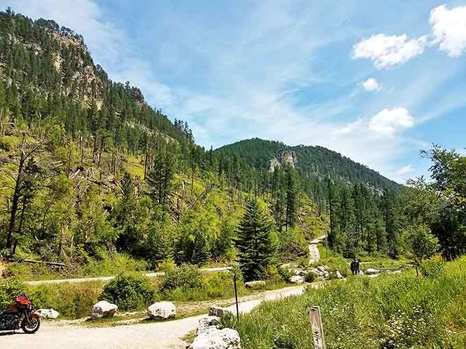Mother Nature's garden party is in full swing here, where ponderosa pines stand tall like nature's doormen guarding this verdant paradise.