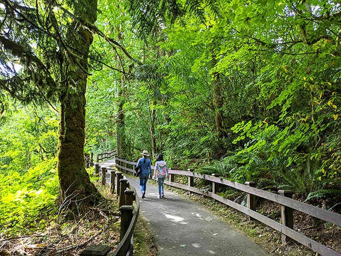 Forest pathways where you half-expect woodland creatures to offer directions. The dappled sunlight creates nature's own stained-glass effect.
