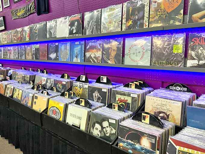 The vinyl section glows with purple lighting, as if acknowledging these albums aren't just music&mdash;they're time machines with soundtracks.